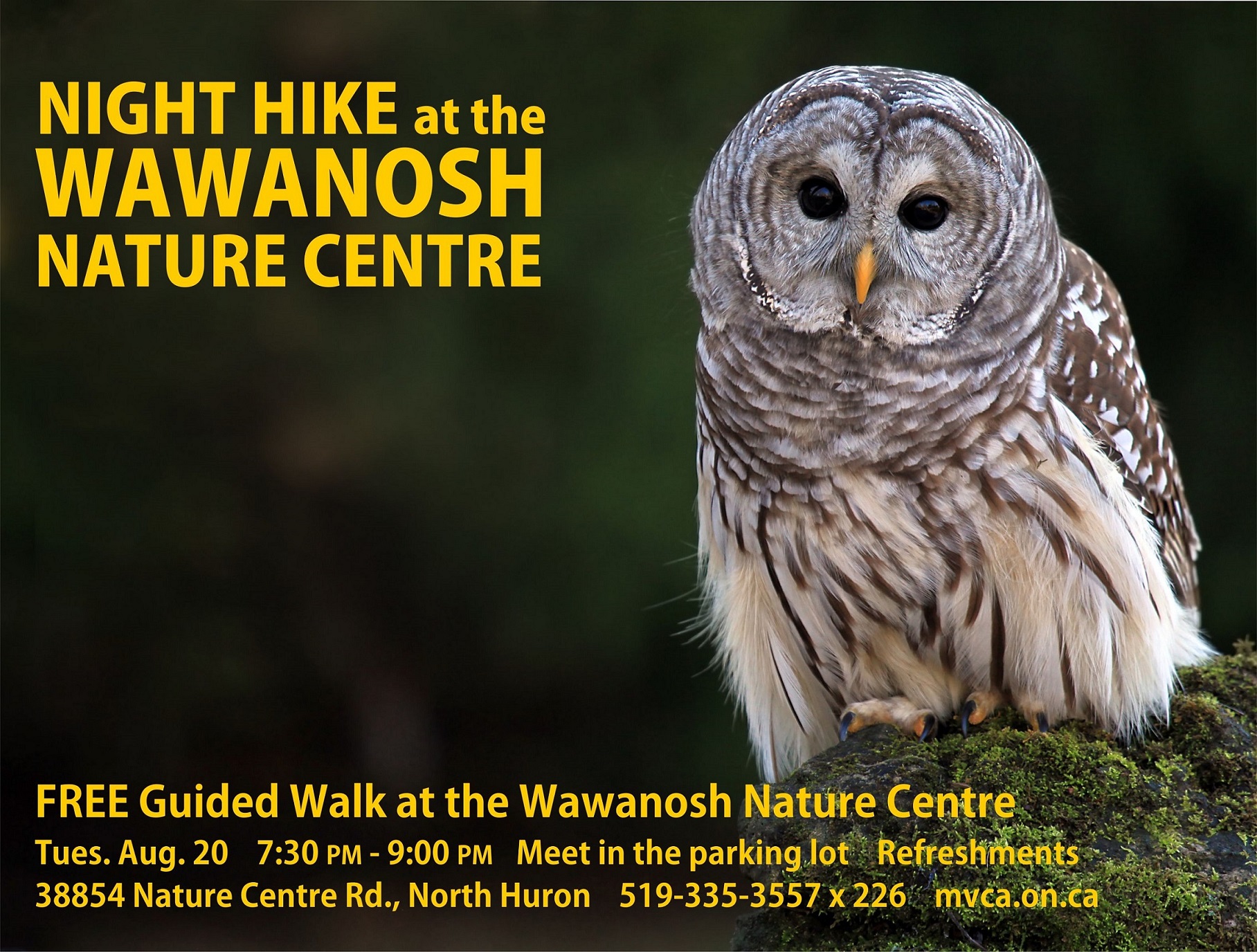 Night Hike – Maitland Valley Conservation Authority